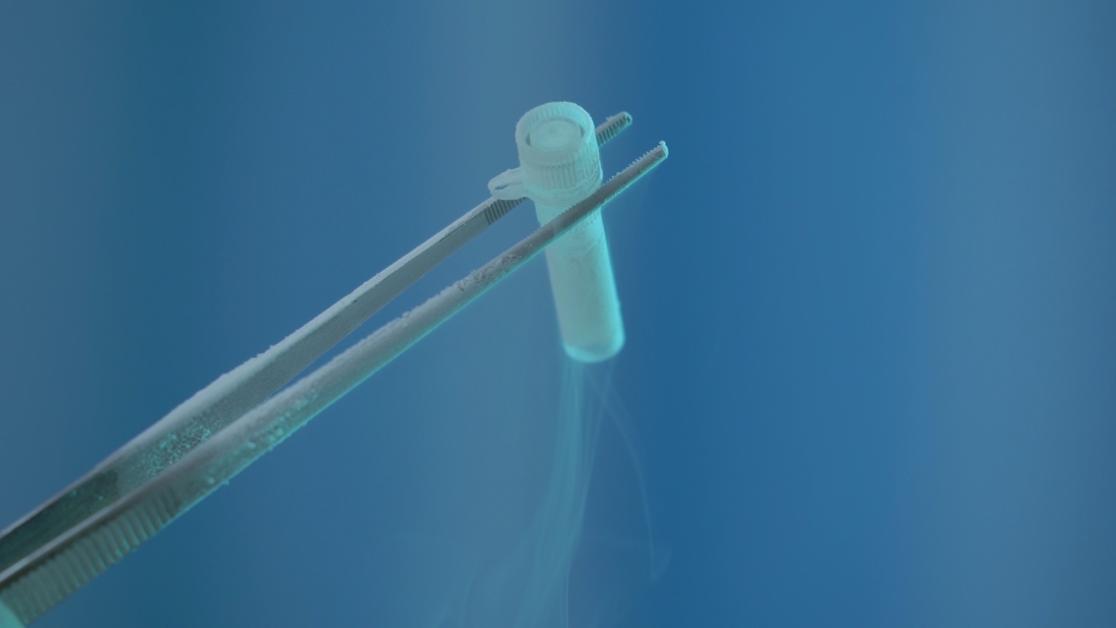 How Stem Cells Work: From Lab to Life-Changing Therapy